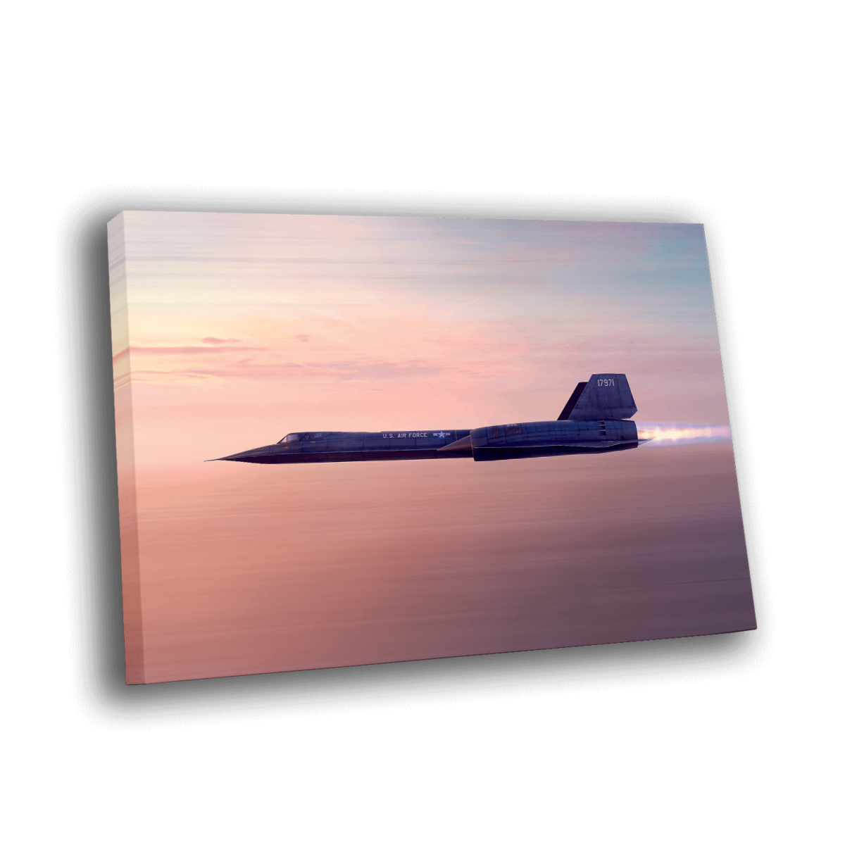 The Shapie | Unique and Custom Made LED Light Paintings